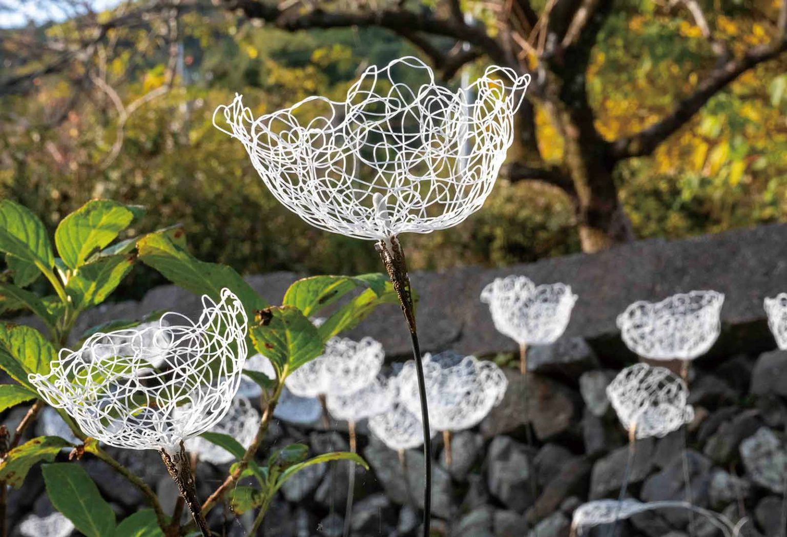 志村陽子 | 生えてきた芸術祭 みかのはら〜と "アートって何や？？"