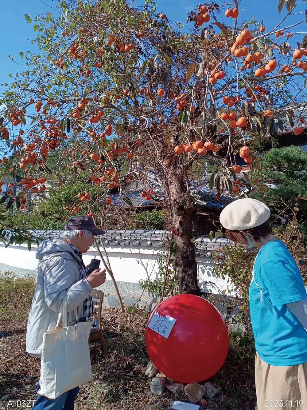 Robin岡本浩 | 生えてきた芸術祭 みかのはら〜と "アートって何や？？"